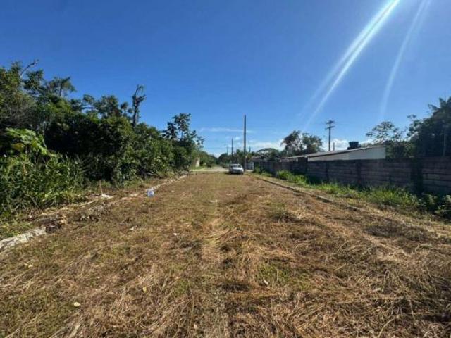 TERRENO A VENDA NA PRAIA EM ITANHAÉM