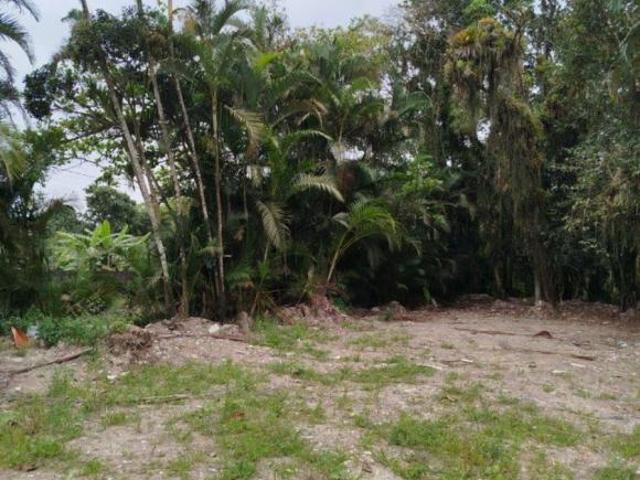 Terreno à Venda na Praia, Itanhaém / SP