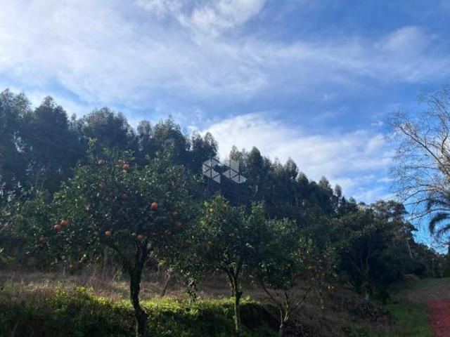 Terreno a venda na Rota do Sol, Carlos barbosa