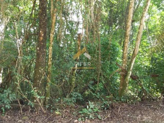 Terreno á venda na Rodovia dos agricultores km3 a minutos da Dom Pedro
