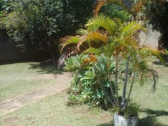 Terreno á Venda na região central da Cidade de Cesário Lange SP