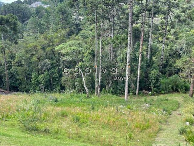 Terreno a venda na Reserva Figueiredo Campos do Jordão