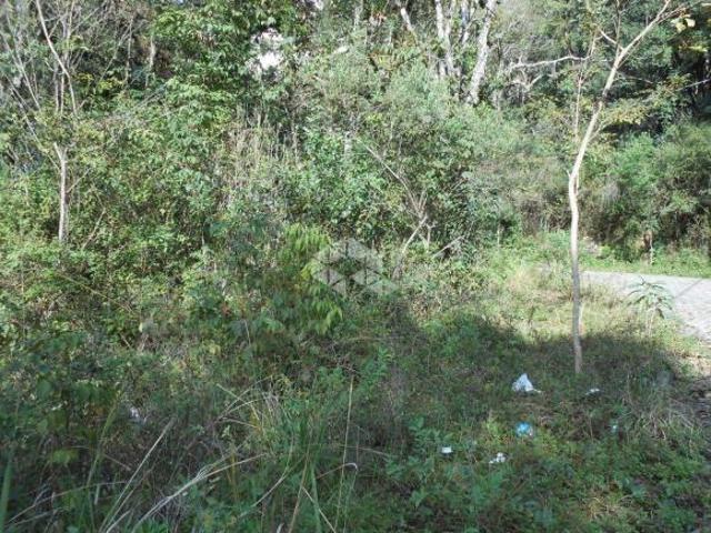 TERRENO A VENDA NA RESERVA GRASSELLI