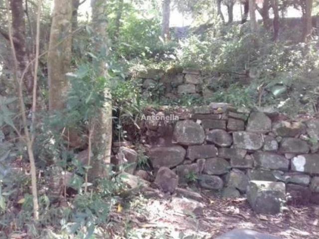 Terreno à venda na Rio Branco