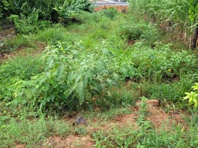Terreno a venda na Rua Manoel Moura, Campestre, São Leopoldo, RS