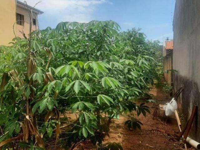 Terreno a venda na Vila Xavier, Araraquara Excelente oportunidade!