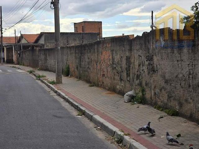 Terreno à venda na Vila Amélia