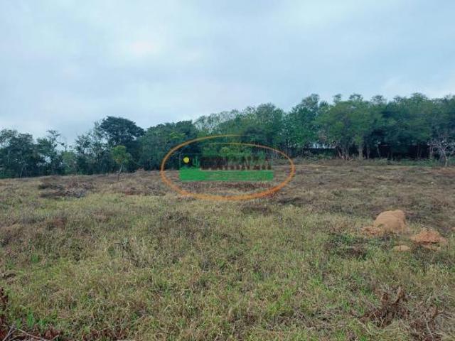 Terreno à venda na Vila Belizário