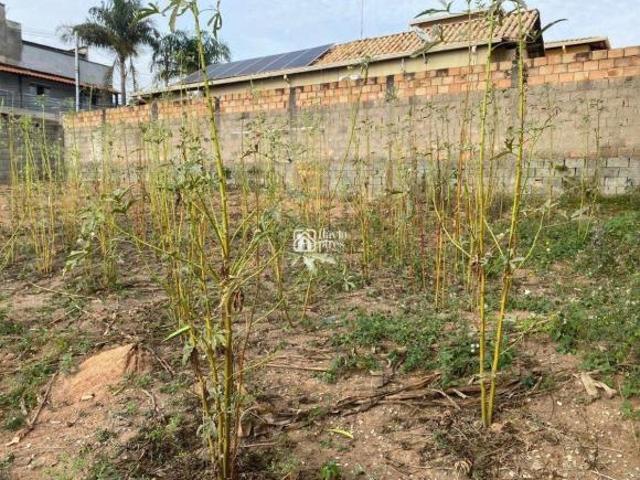 Terreno à venda na Vila Cristina