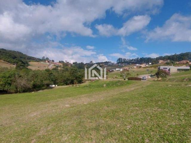Terreno à venda na Vila Darcy Penteado Mailasqui
