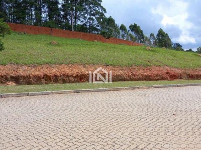 Terreno à venda na Vila Darcy Penteado Mailasqui