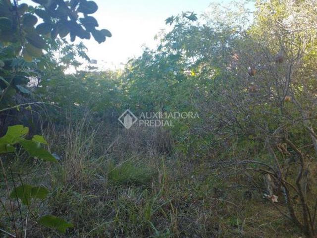 Terreno à venda na Vila Ipiranga, Porto Alegre