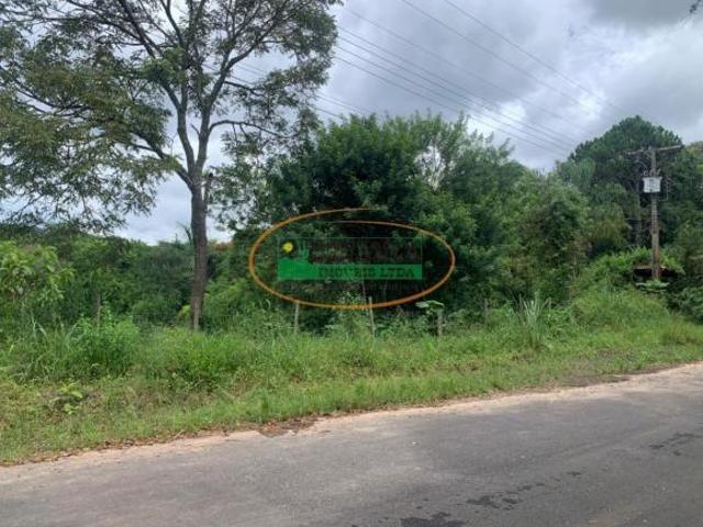 Terreno à venda na Vila São Paulo Fábricas