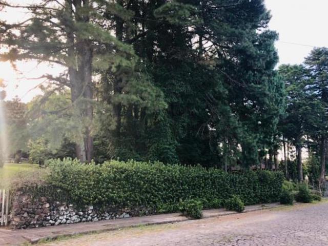 TERRENO À VENDA NA VILA SUZANA CANELA/RS