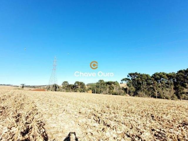 Terreno à venda na Zona Rural