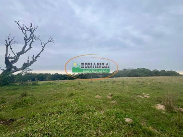 Terreno à venda na Zona Rural
