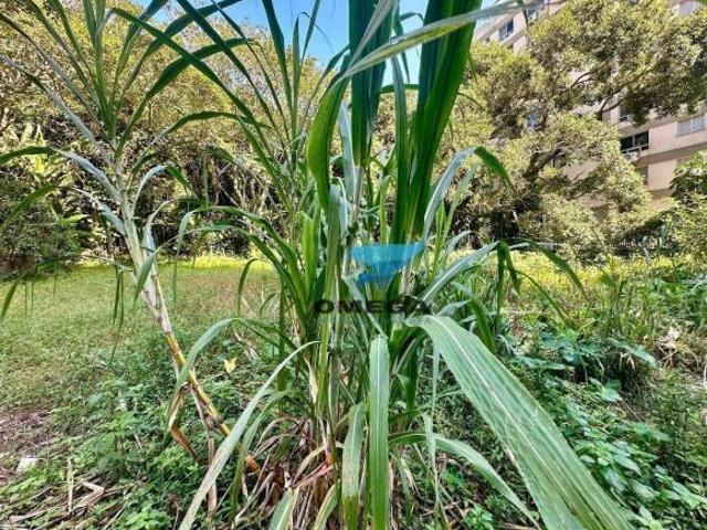Terreno à venda nas Astúrias no Guarujá Omega Imóveis