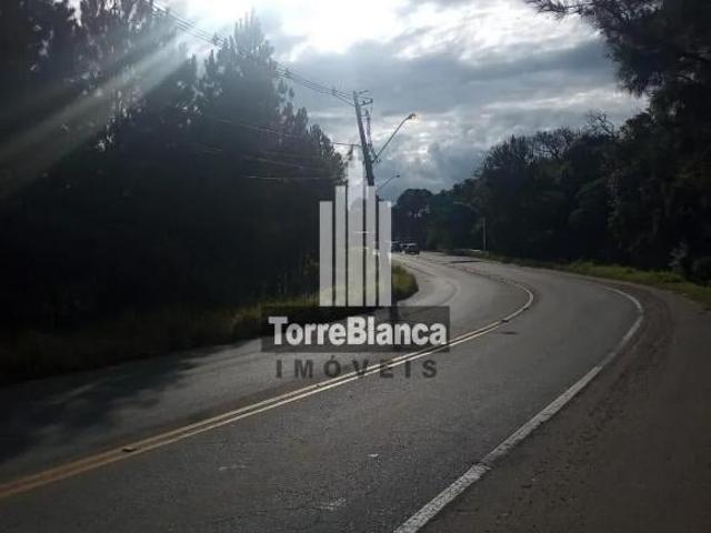 Terreno à venda, Neves, Ponta Grossa, PR