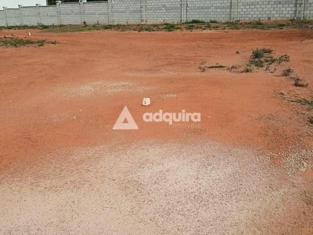 Terreno à venda, Neves, Ponta Grossa, PR