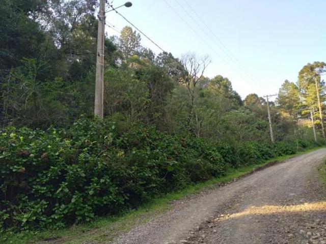 Terreno à venda, São Bernardo, São Francisco de Paula, RS