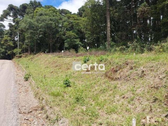 Terreno à venda São Luiz Canela/RS