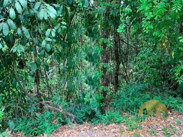 Terreno a venda Sausalito Mairiporã