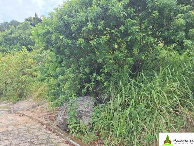 Terreno à venda, santa Tereza Ilhabela!