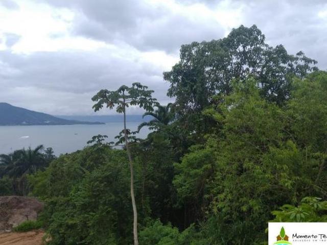 Terreno à venda, Santa Tereza Ilhabela/SP
