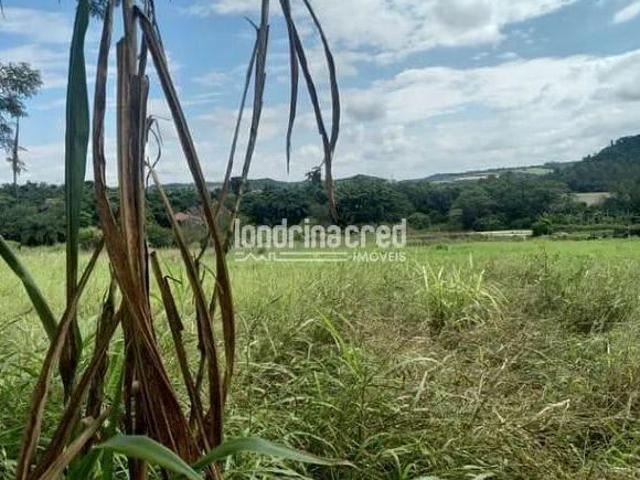 Terreno à venda, Selva, Selva, PR