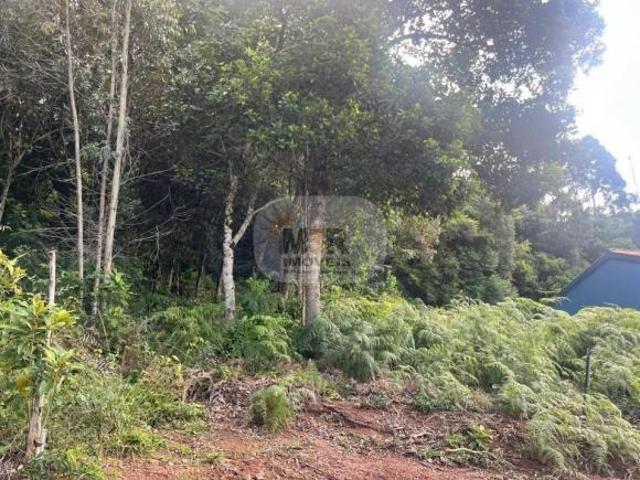 Terreno à Venda Pousada da Neve Nova Petrópolis | 645m² Final de Rua e Segurança | Oportunidade Excl