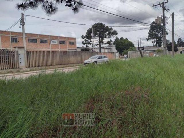 Terreno, à Venda por R$ 11.200.000,00 Eucaliptos, Fazenda Rio Grande Pr