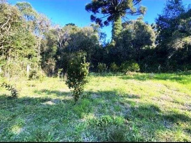 Terreno a venda por R$ 450.000 Mato Queimado Gramado/RS