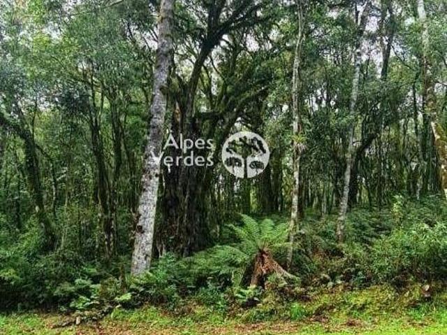 Terreno à venda por R$ 480.000,00 Vale do Bosque Gramado/RS