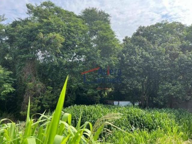 Terreno à venda Paisagem Renoir Cotia/SP