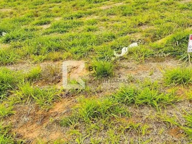Terreno à venda, Park Vista Real, Indaiatuba, SPㅤㅤㅤㅤㅤㅤㅤㅤㅤㅤㅤㅤㅤㅤㅤㅤㅤㅤㅤㅤㅤㅤㅤㅤㅤㅤㅤㅤㅤㅤㅤㅤㅤㅤㅤㅤㅤㅤㅤㅤㅤㅤㅤㅤㅤㅤㅤㅤㅤㅤㅤㅤ