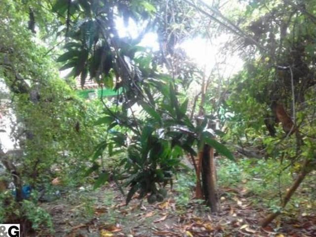 Terreno à venda Parque Anchieta São Bernardo do Campo / Contato: +55 11 99787 2345