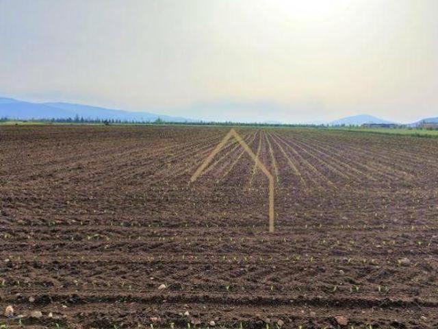 Terreno à venda Parque dos Pinheiros Nova Odessa/SP