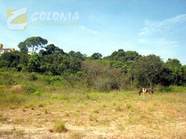 Terreno a venda Parque São Vicente
