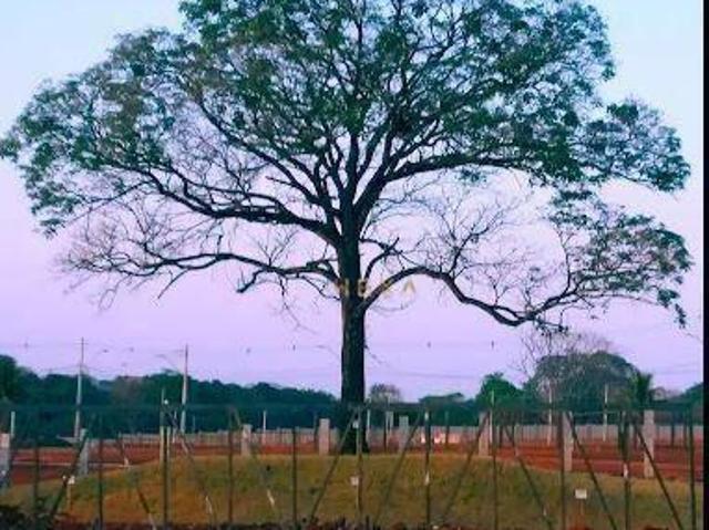 Terreno à venda Parqville Quaresmeira Trindade/GO