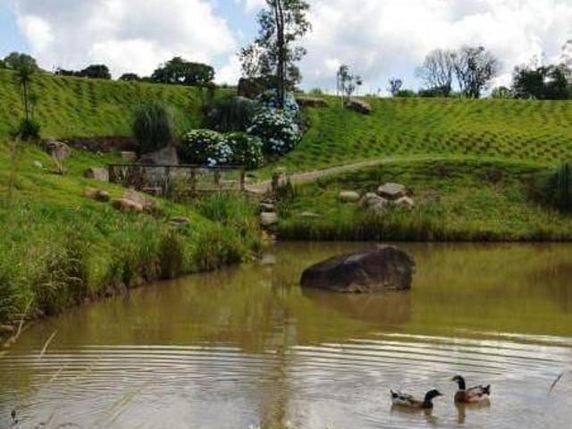 Terreno à venda, Pedancino, Caxias do Sul, RS