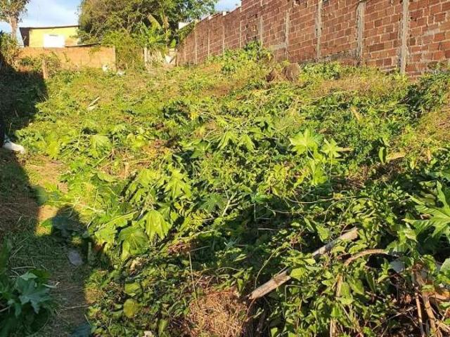 Terreno à venda, Pingo de Ouro, Guaratinguetá, SP