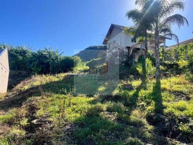 Terreno à Venda Pinhal Alto Nova Petrópolis | 547m² Pronto para Construir | Localização Elevada e Se