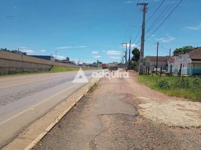 Terreno à Venda, Piriquitos, Ponta Grossa, PR