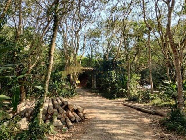 Terreno à venda praia de Itamambuca em Ubatuba SP
