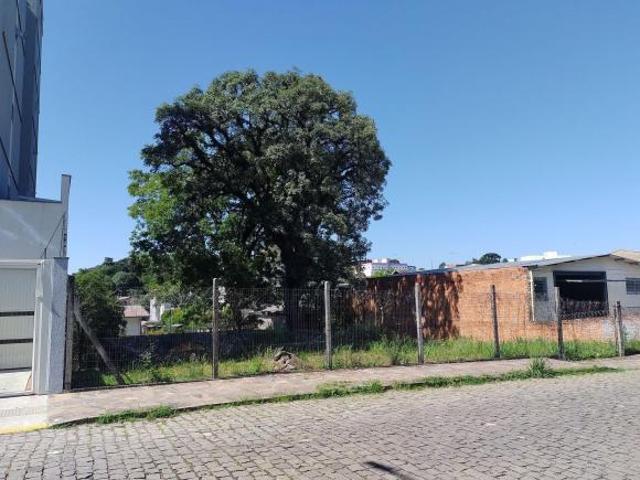 Terreno à venda, Presidente Vargas, Caxias do Sul, RS