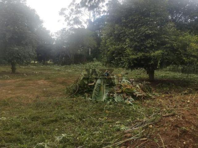 Terreno a venda Próximo ao Shopping Prado
