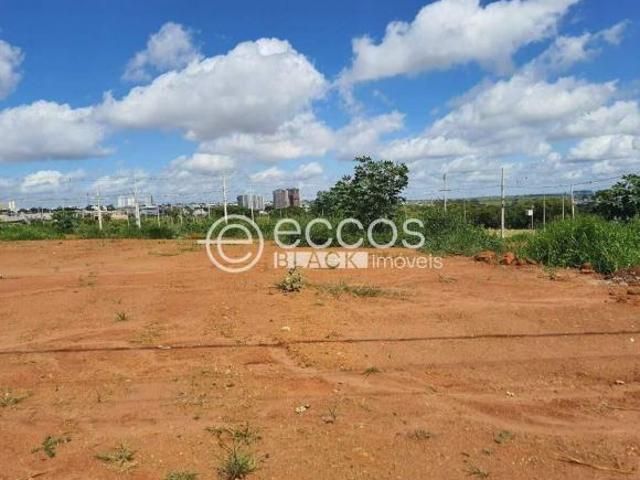 Terreno à venda, Quinta Alto Umuarama Uberlândia/MG