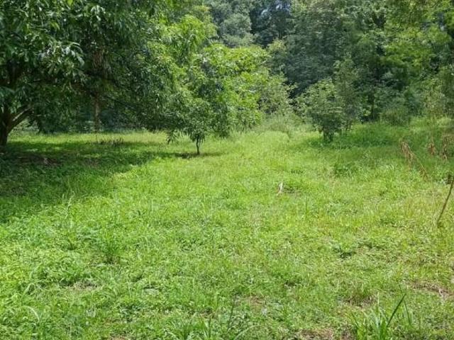 Terreno à venda, Quintas das Fazendinhas Matozinhos/MG