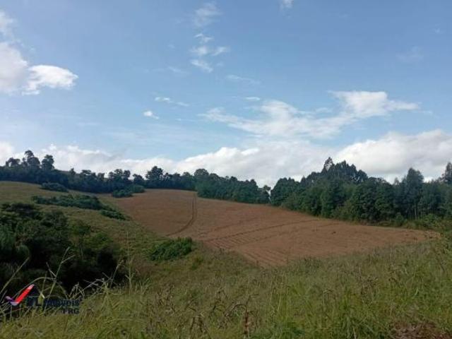 TERRENO Á VENDA REGIÃO RURAL EM QUITANDINHA PR