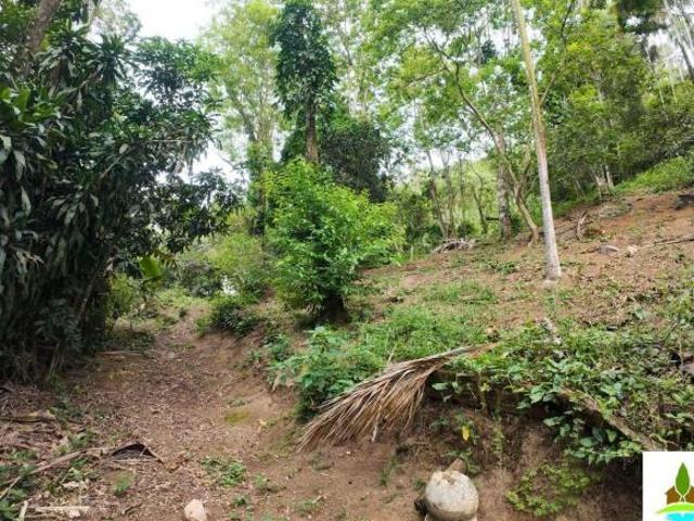 Terreno à venda, Reino Ilhabela